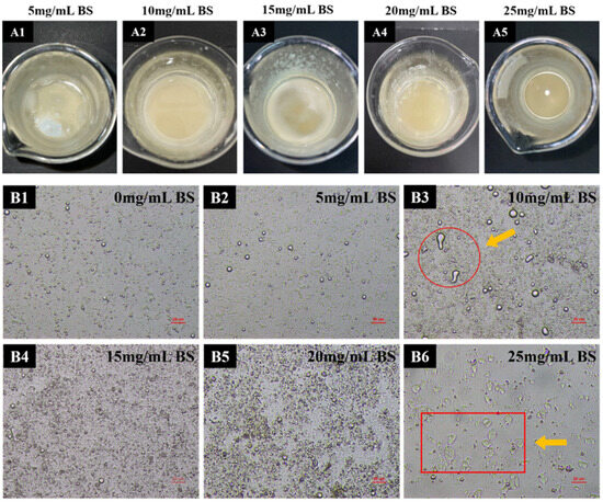 Effect of Digestion on Ursolic Acid Self-Stabilized Water-in-Oil ...