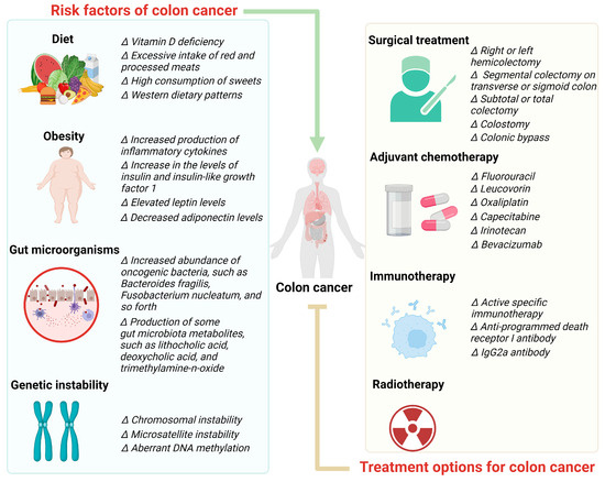 An Update on the Pivotal Roles of Probiotics, Their Components, and ...
