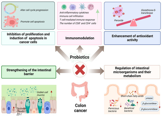 An Update on the Pivotal Roles of Probiotics, Their Components, and ...