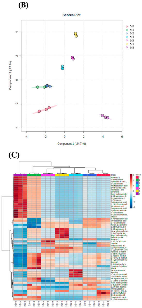 Formation, Evolution, and Antioxidant Activity of Melanoidins in Black ...