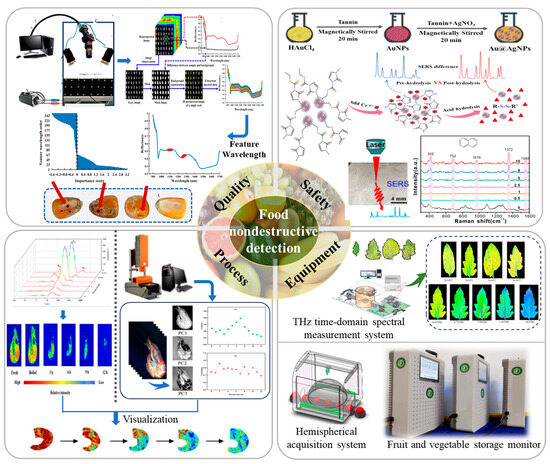 Fast Nondestructive Detection Technology and Equipment for Food Quality ...