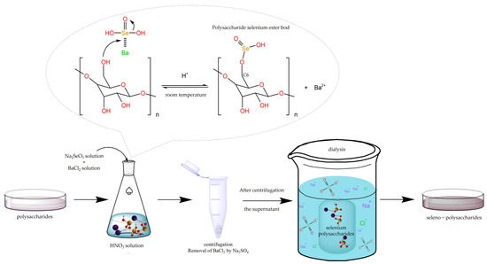 Selenium Modification of Natural Products and Its Research Progress