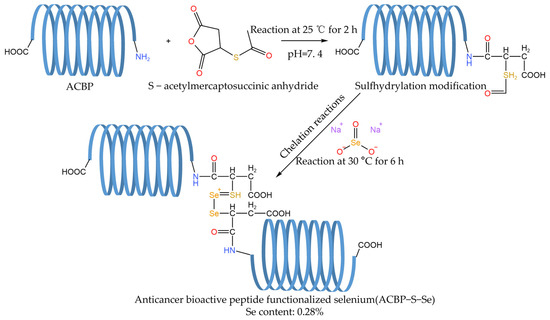 Selenium Modification of Natural Products and Its Research Progress