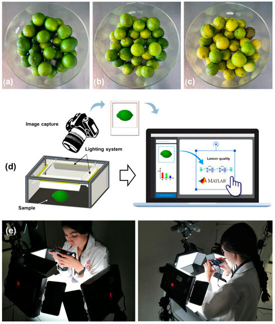 Development of a Low-Cost Artificial Vision System as an Alternative ...