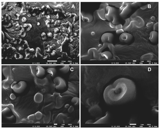An Innovative Method for the Production of Yoghurt Fortified with ...