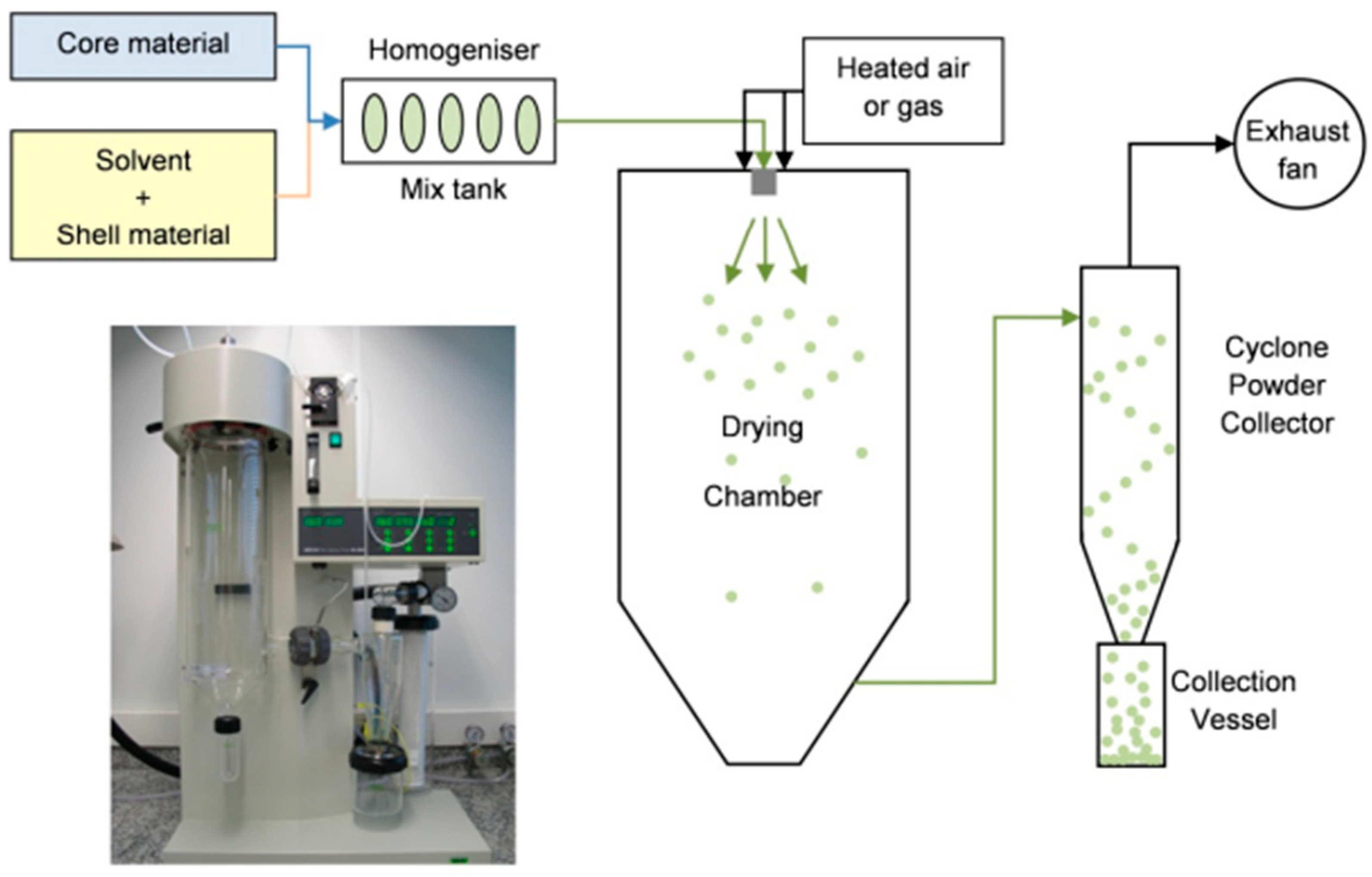 Ultrasound-Assisted Encapsulation of Phytochemicals for Food ...
