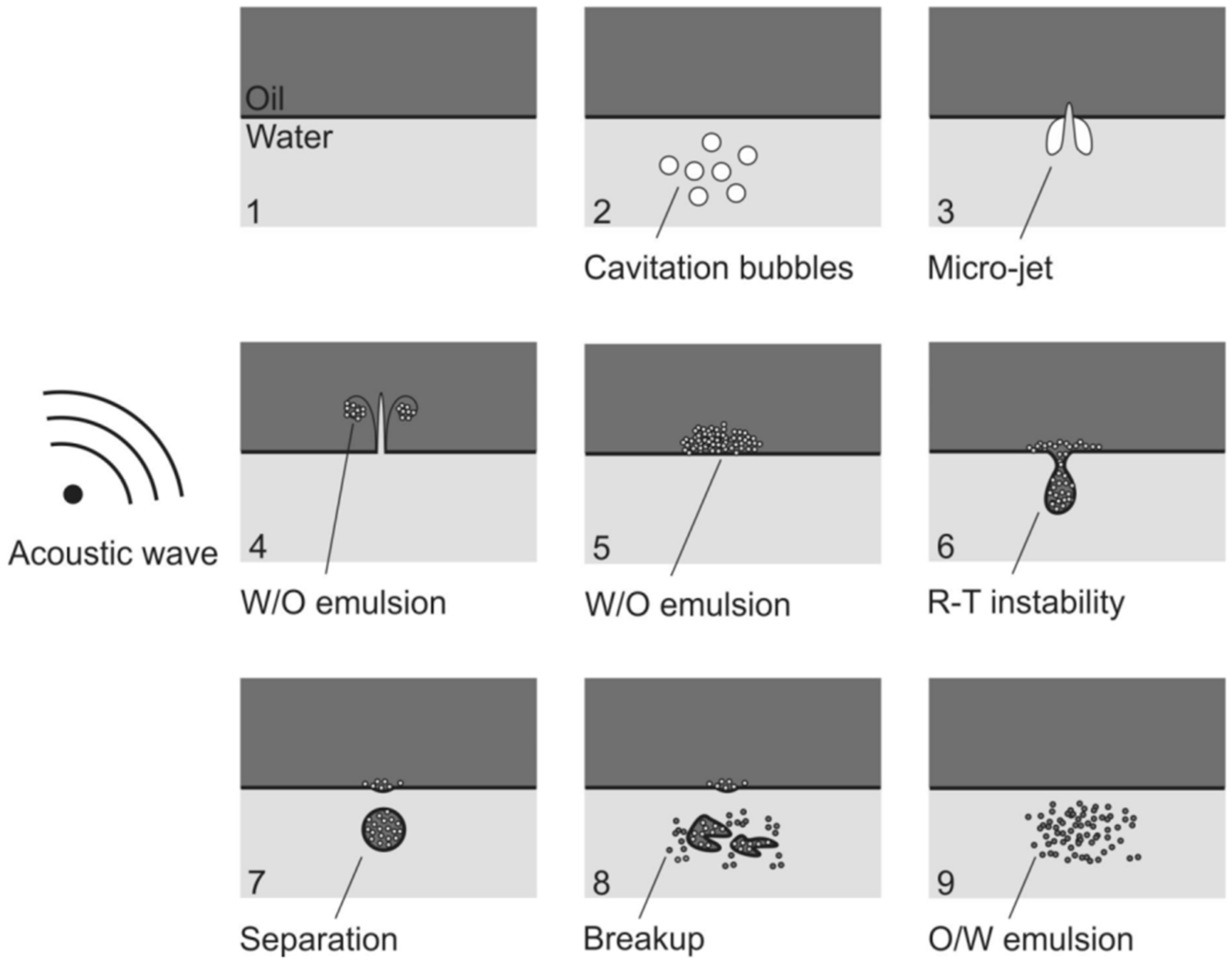 Foods | Free Full-Text | Ultrasound-Assisted Encapsulation of ...