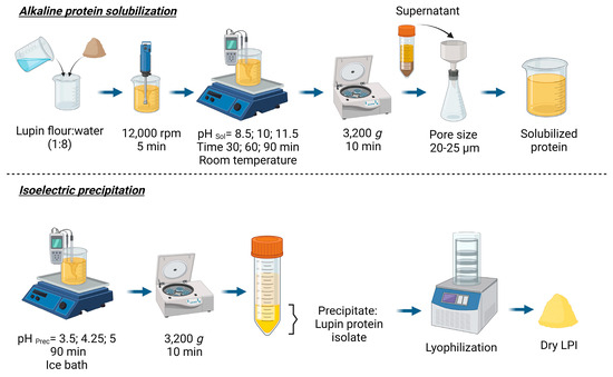 Optimization and Characterization of Lupin Protein Isolate Obtained ...
