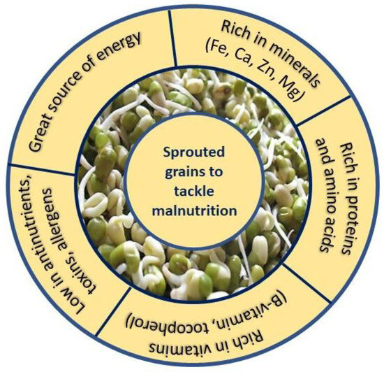 Unlocking the Potential of Sprouted Cereals, Pseudocereals, and Pulses ...