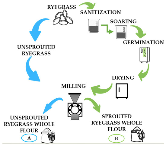 New Breakfast Cereal Developed with Sprouted Whole Ryegrass Flour ...