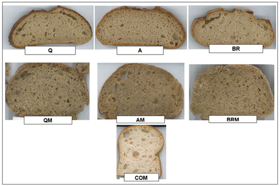 Development of Functional Gluten-Free Sourdough Bread with ...