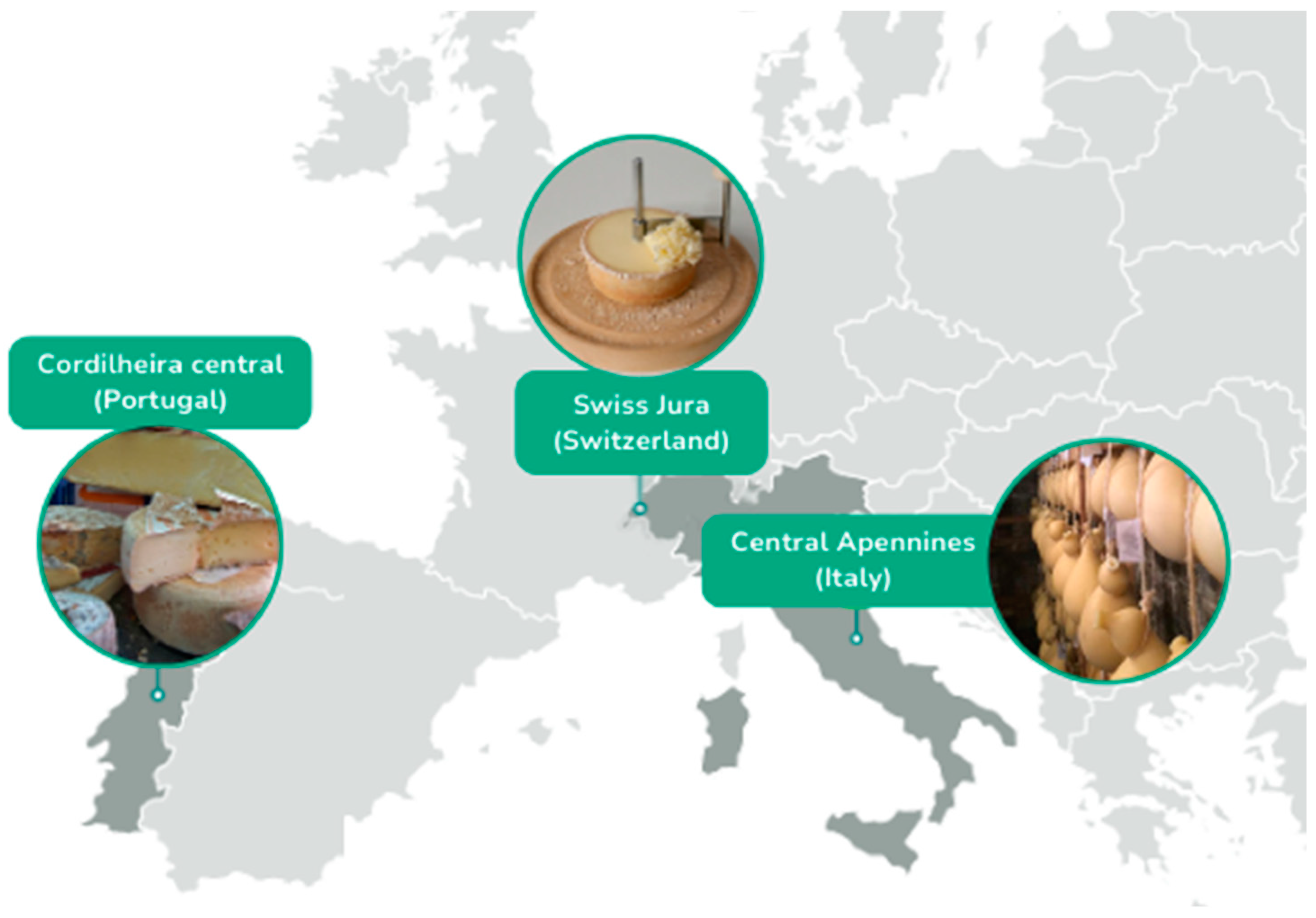 Circular Economy in Mountain Value Chains: The Case of Three PDO Cheeses