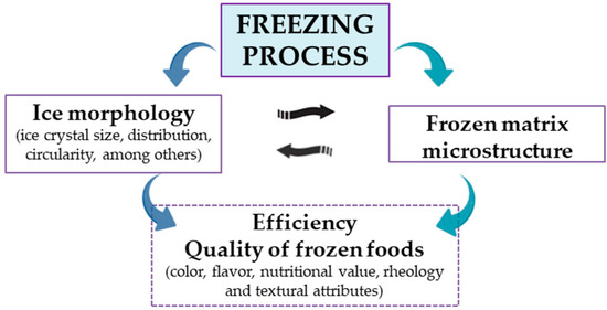 Observation and Measurement of Ice Morphology in Foods: A Review