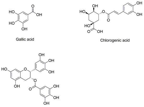 Exploring the Interactions of Soybean 7S Globulin with Gallic Acid ...