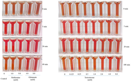 Effects of Metabolites, Sex, Sire, and Muscle Type on Chilled Lamb Meat ...