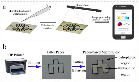Paper-Based Microfluidic Chips for Food Hazard Factor Detection ...