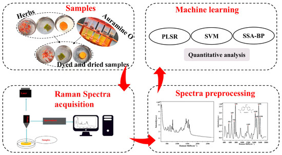 Rapid Indentification of Auramine O Dyeing Adulteration in Dendrobium ...
