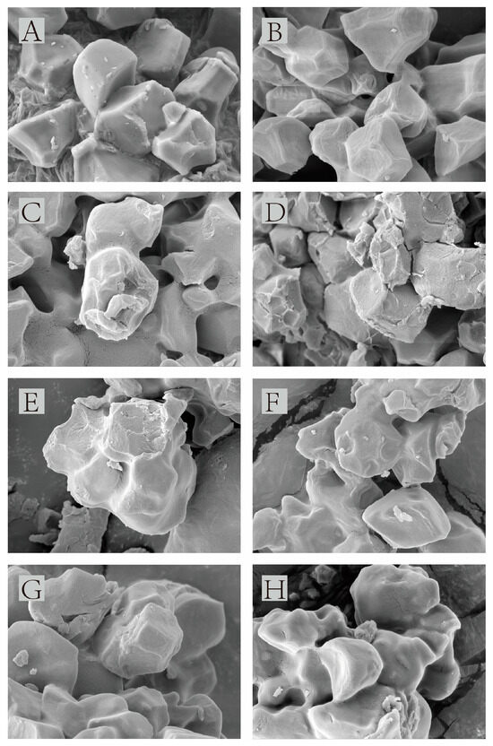 A Study on the Structural and Digestive Properties of Rice Starch ...