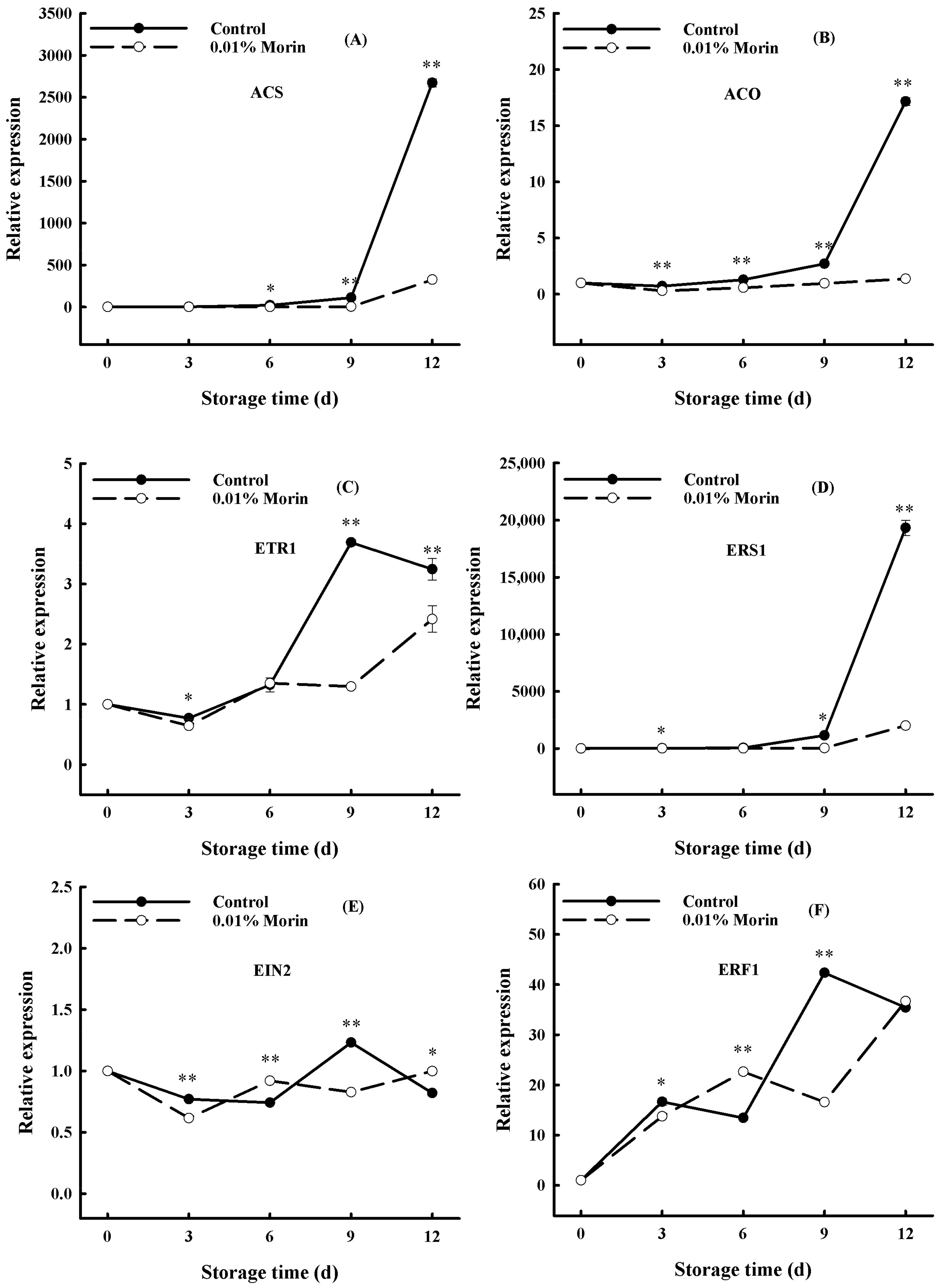 Morin Treatment Delays the Ripening and Senescence of Postharvest Mango Fruits