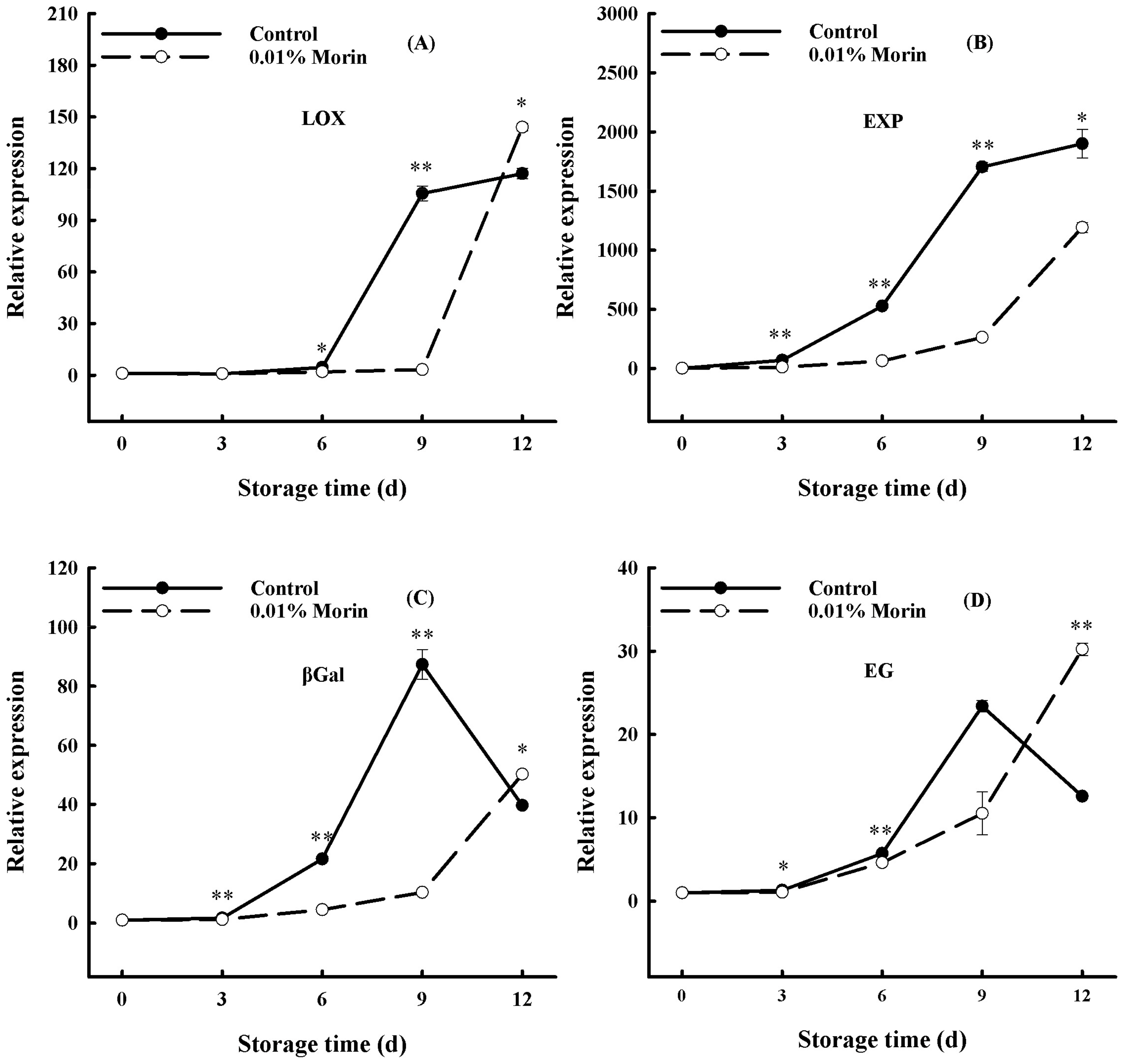Morin Treatment Delays the Ripening and Senescence of Postharvest Mango Fruits