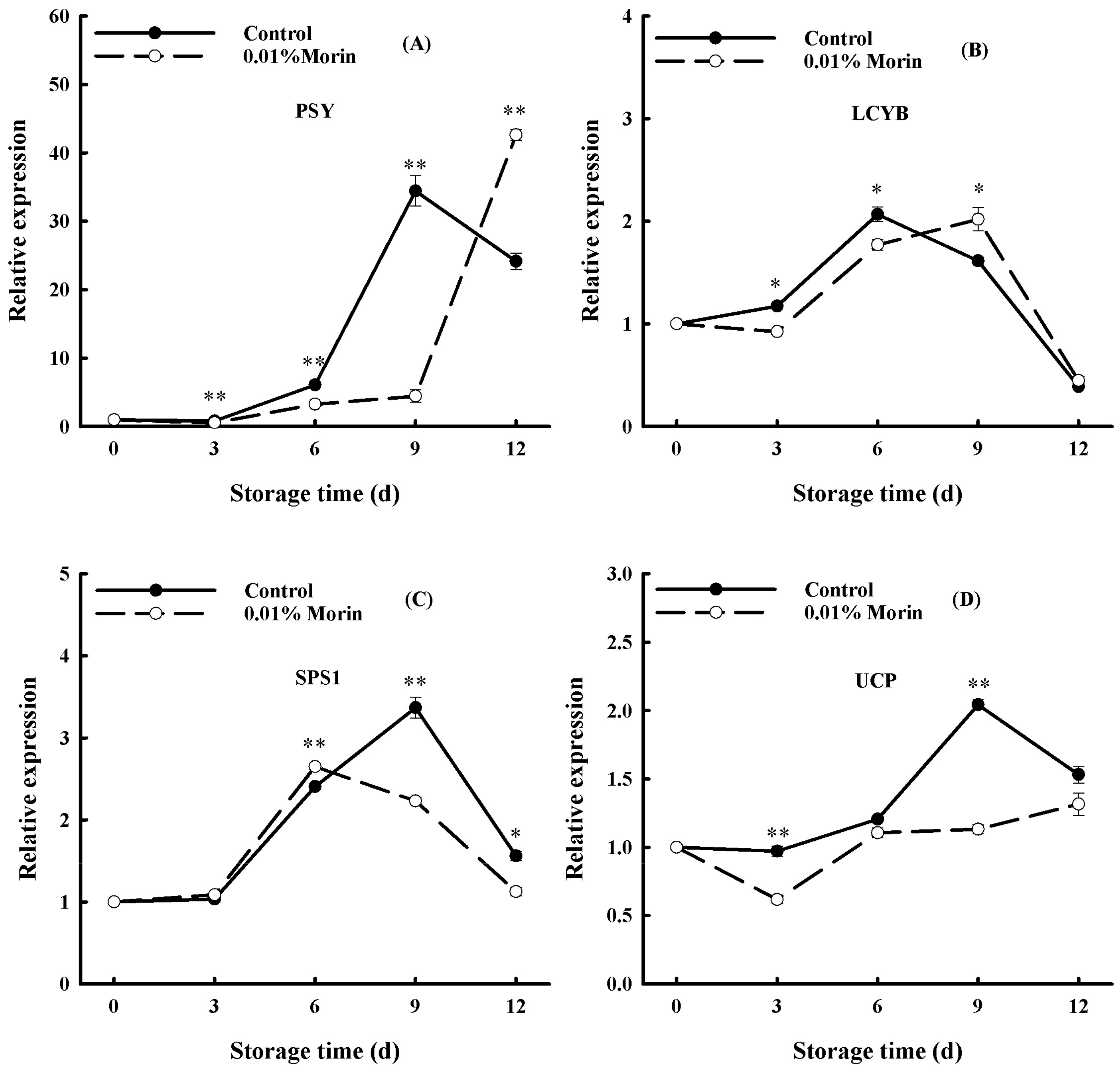 Morin Treatment Delays the Ripening and Senescence of Postharvest Mango Fruits