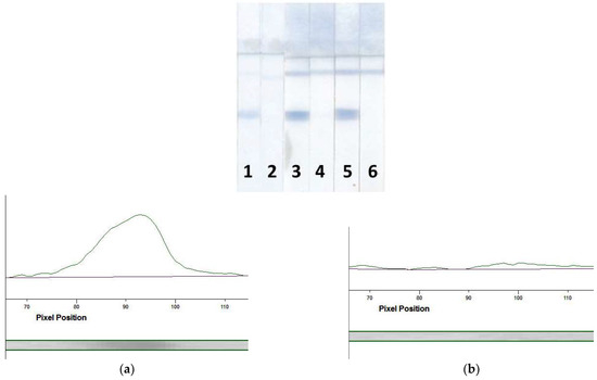 Highly Sensitive Immunochromatographic Detection of Porcine Myoglobin ...