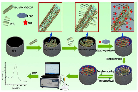 Recent Advances in and Applications of Electrochemical Sensors Based on ...