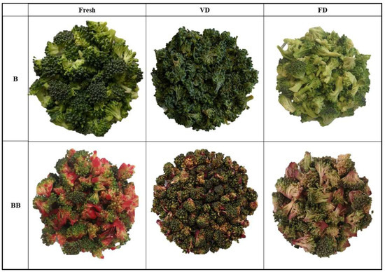 The Influence of the Vacuum Impregnation, Beetroot Juice, and Various ...