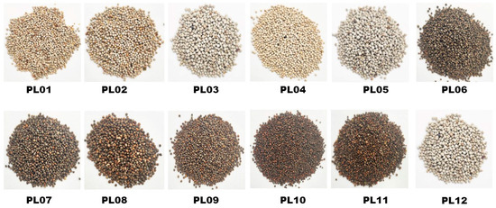 Comparative Metabolomics Analysis of Different Perilla Varieties ...