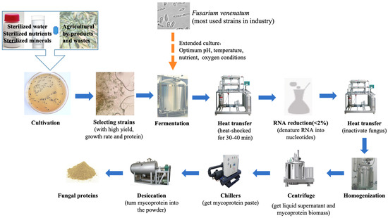Nutritional Values and Bio-Functional Properties of Fungal Proteins ...