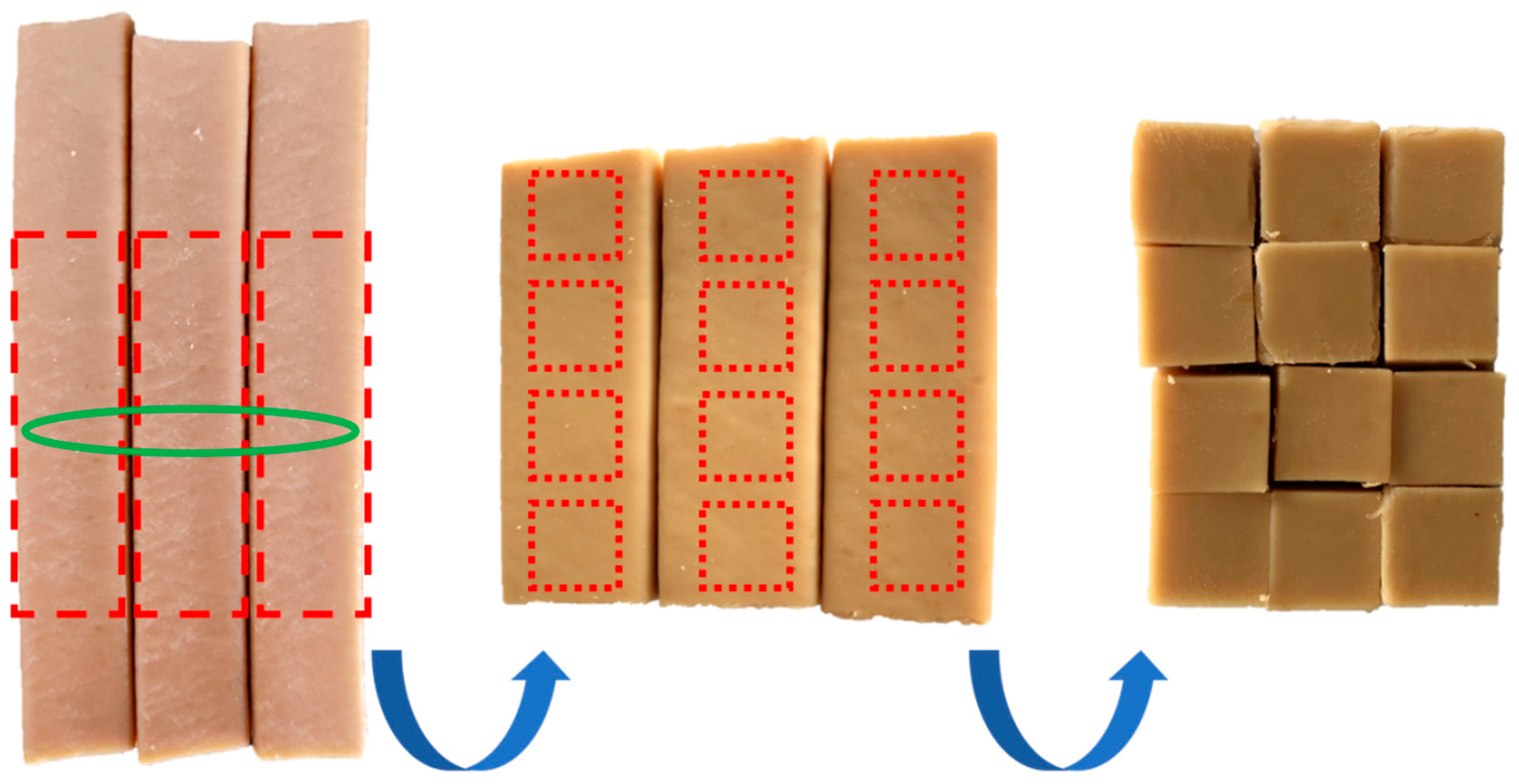 Study on the Residence Time and Texture Prediction of Pea Protein ...