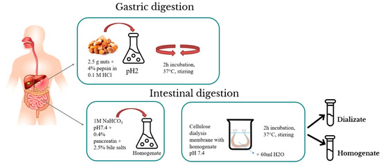 In Vitro Assessment of the Bioaccessibility of Zn, Ca, Mg, and Se from ...