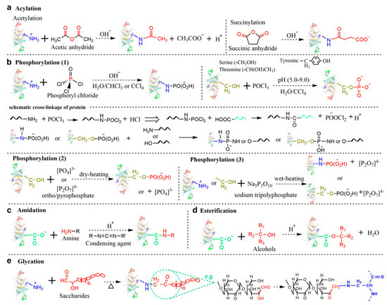 Foods | Free Full-Text | Pulse Protein Isolates as Competitive Food ...