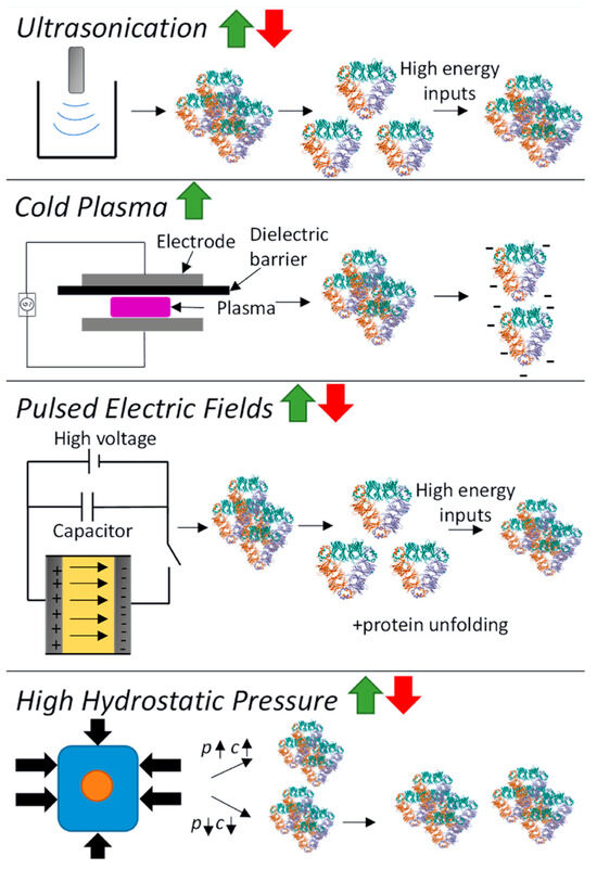 Foods | Free Full-Text | Pulse Protein Isolates as Competitive Food ...