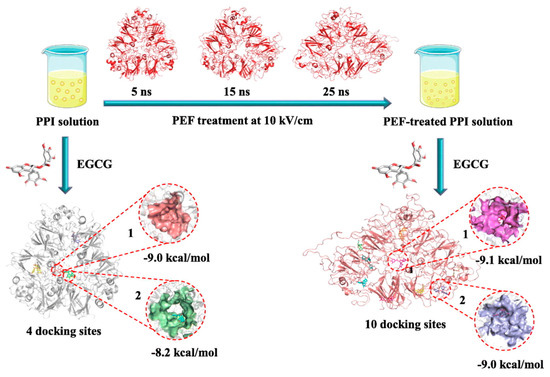 Foods | Free Full-Text | Pulse Protein Isolates as Competitive Food ...