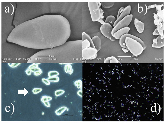 Characterization of a Novel Starch Isolated from the Rhizome of ...