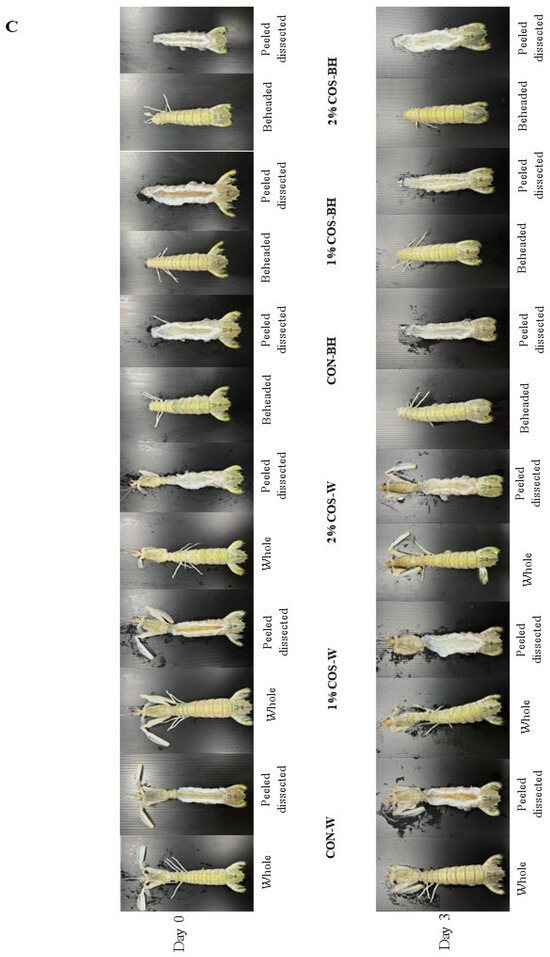 Impact of Prior Pulsed Electric Field and Chitooligosaccharide ...