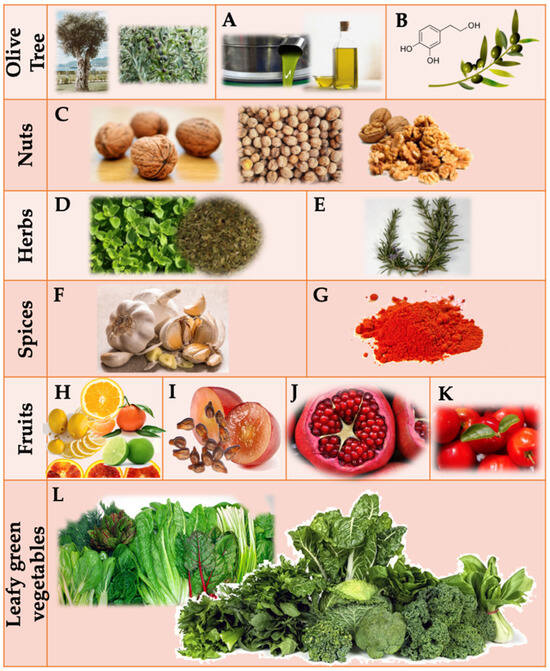 Foods | Free Full-Text | Applications of Plant Bioactive Compounds as ...