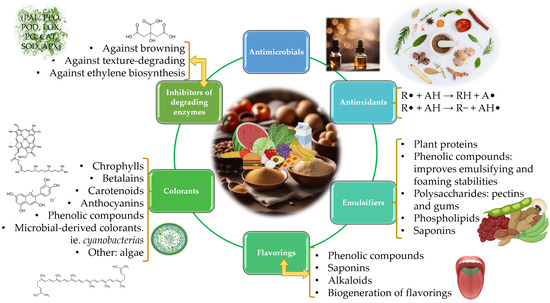 Foods | Free Full-Text | Applications of Plant Bioactive Compounds as ...