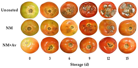 Postharvest Quality Improvement of Tomato (Solanum lycopersicum L ...