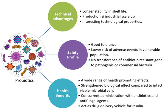 Postbiotics: Functional Food Materials and Therapeutic Agents for ...