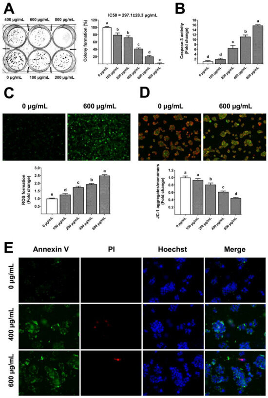 Exploring the Bioactive Potential of Calostoma insigne, an Endangered ...