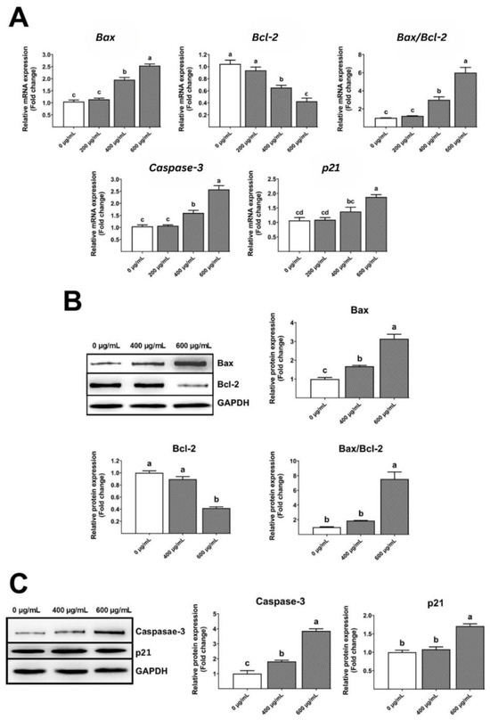 Exploring the Bioactive Potential of Calostoma insigne, an Endangered ...