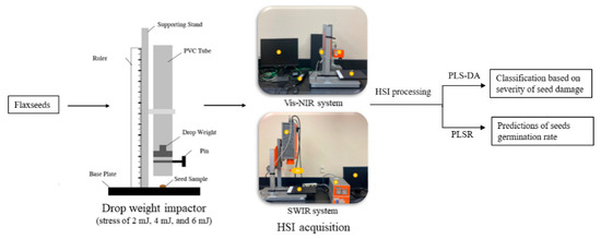 Assessment of Mechanical Damage and Germinability in Flaxseeds Using ...