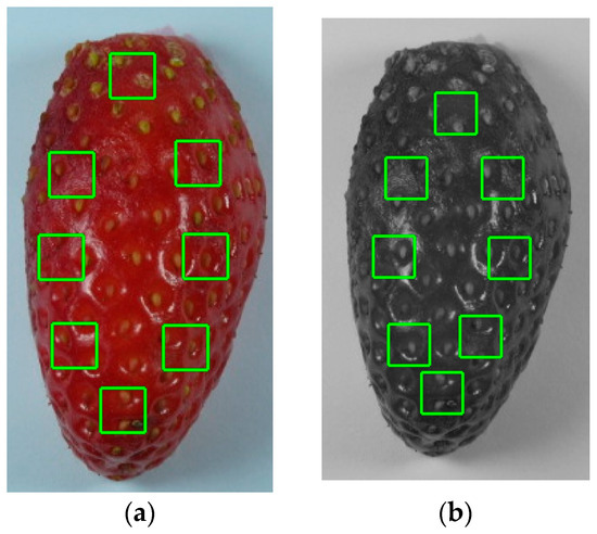 On the Assessment of Strawberries’ Shelf-Life and Quality, Based on ...