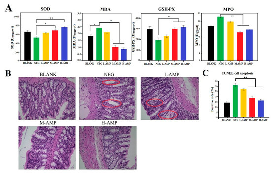 Potential Regulatory Gene Network Associated with the Ameliorative ...