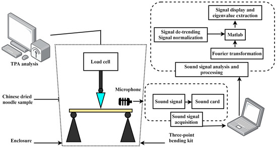 Texture Analysis of Chinese Dried Noodles during Drying Based on ...