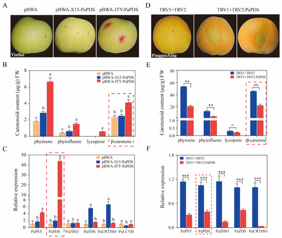 15-cis-Phytoene Desaturase and 15-cis-Phytoene Synthase Can Catalyze ...