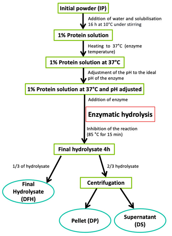 Enzymatic Hydrolysis of Water Lentil (Duckweed): An Emerging Source of ...