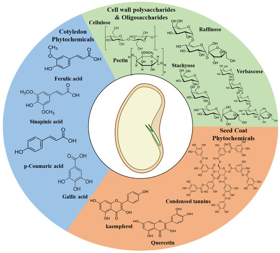 Leaching of Phytochemicals from Beans during Hydration, Kinetics, and ...